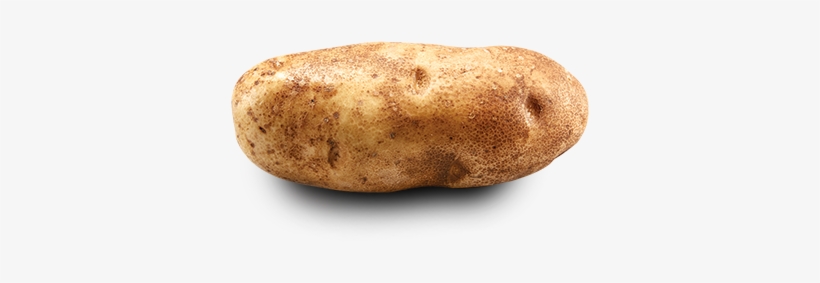 Russet Potato Recipe - Peter Dutton Potato PNG Image | Transparent PNG ...