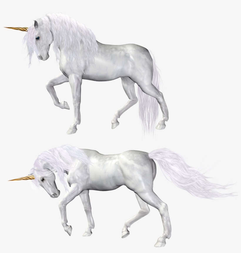Unicorn PNG Image | Transparent PNG Free Download on SeekPNG