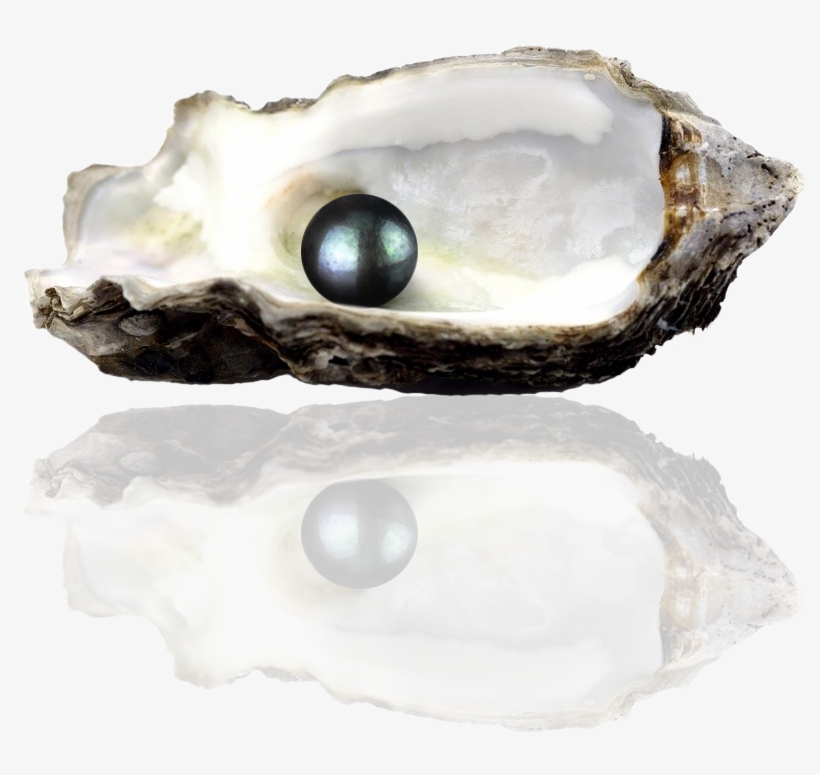 Zaressi Bespoke Pearl - Calcium Carbonate Pearl PNG Image | Transparent ...