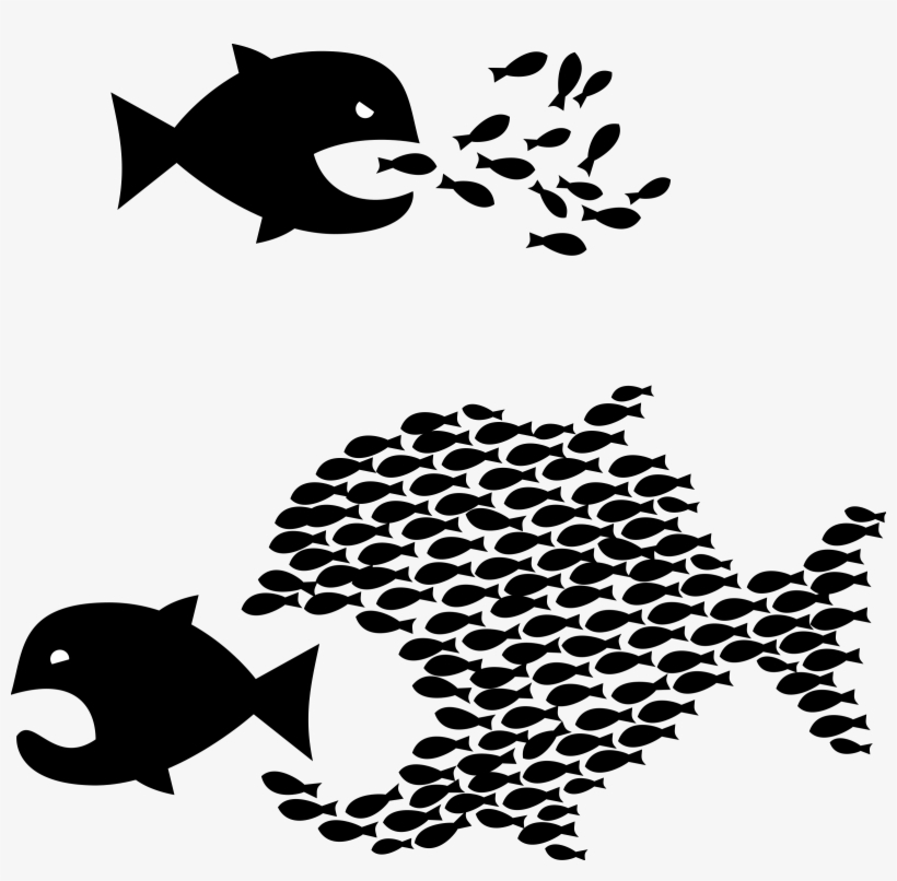 Peces Png PNG Image | Transparent PNG Free Download on SeekPNG