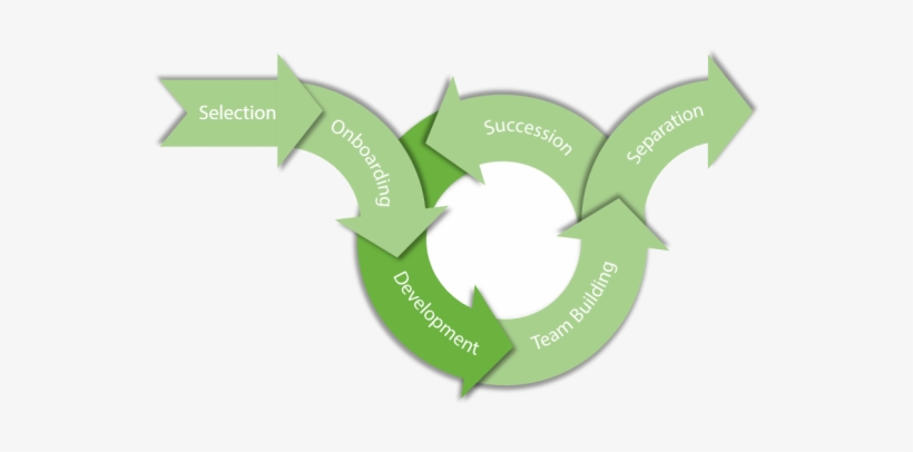 The Employee Lifecycle - Employee Lifecycle PNG Image | Transparent PNG ...