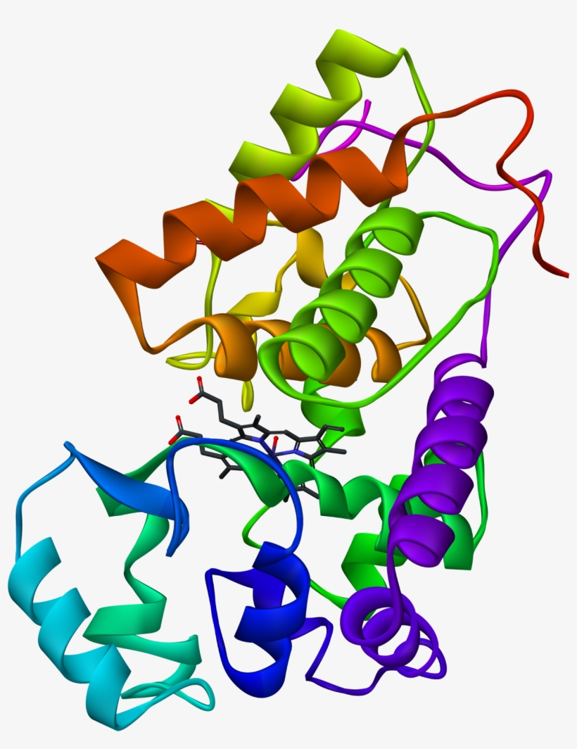 File - Hrp-xray - Enzyme Transparent PNG Image | Transparent PNG Free ...