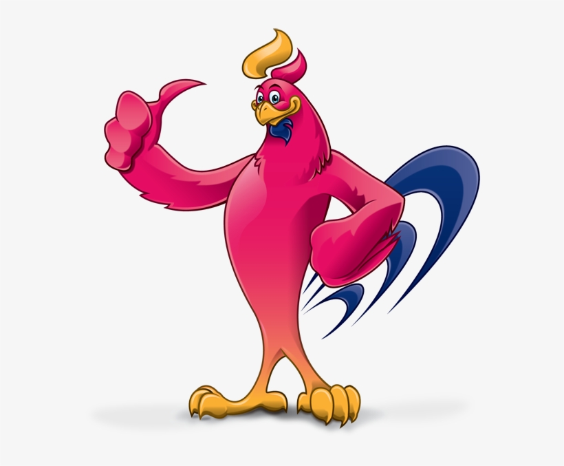 El Gallo Ha Pasado Por Varias Épocas En La Representación - Universidad ...