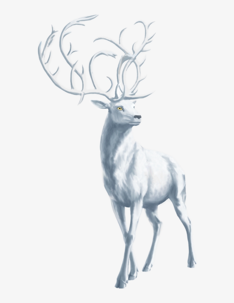 Deer Art - Stag Transparent Background PNG Image | Transparent PNG Free ...