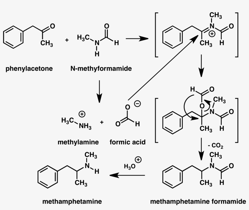 Methamphetamine Leuckart Synthesis - Methamphetamine Reductive ...