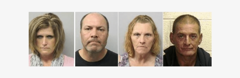 Chatham County Authorities Bust Multiple Meth Labs - Rolling Meth Lab ...