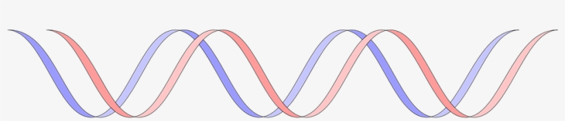 Gene Vector Png - Genetics PNG Image | Transparent PNG Free Download on ...