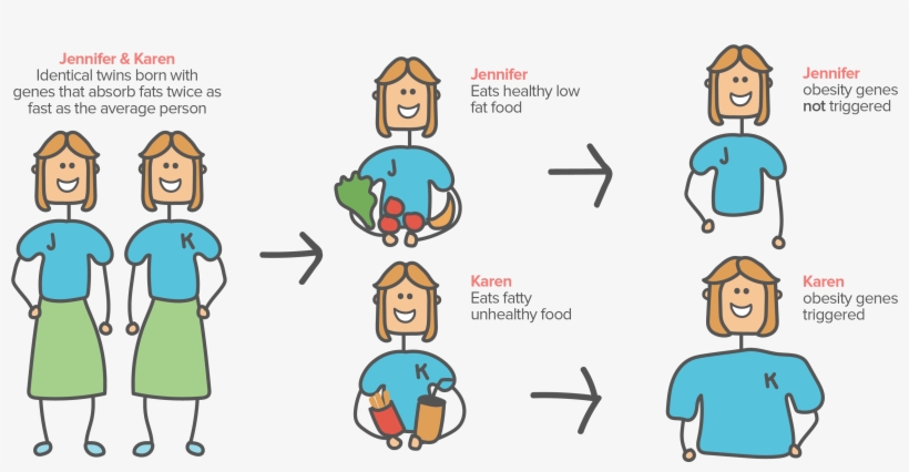 Behavior Genetics Example PNG Image | Transparent PNG Free Download on ...