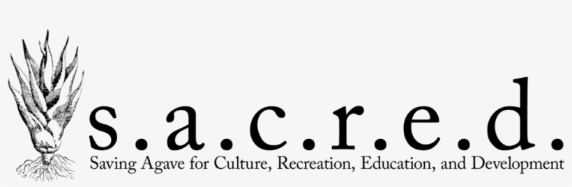 Sacred Logo - Usc Viterbi School Of Engineering PNG Image | Transparent ...