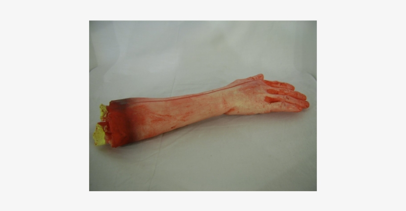 Download Cut Off Arm Png | Transparent PNG Download | SeekPNG