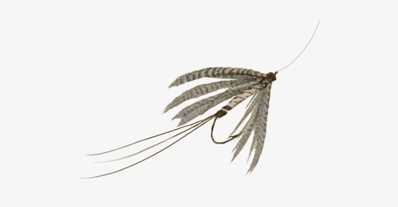 Fly Fishing Flies - Fly Fishing PNG Image | Transparent PNG Free ...