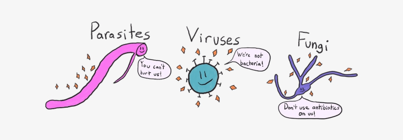 Virus Bacteria Parasite PNG Image | Transparent PNG Free Download on ...