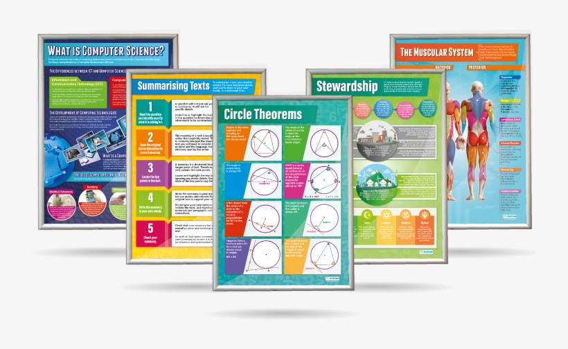 Download Poster Frames - Muscular System | Physical Education Chart In ...