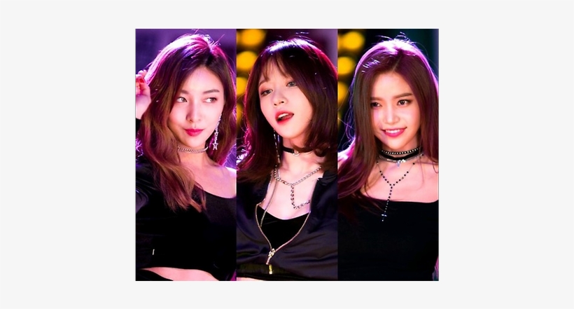 Download Honey Bee Solar Hani Luna | Transparent PNG Download | SeekPNG