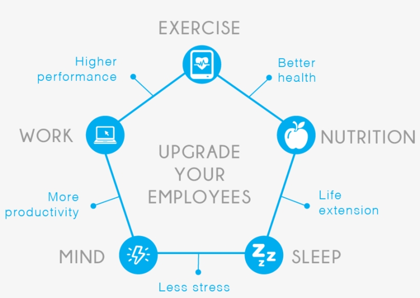Upgrade Your Employees Icon - Diagram PNG Image | Transparent PNG Free ...