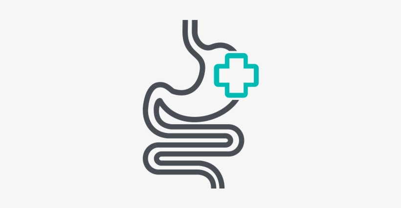 Download Illustration Of Gastroenterology Health - Gastrointestinal ...