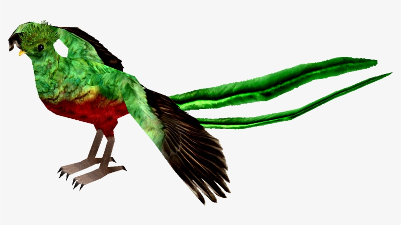 Resplendent Quetzal - Zoo Tycoon 2 Quetzal PNG Image | Transparent PNG ...