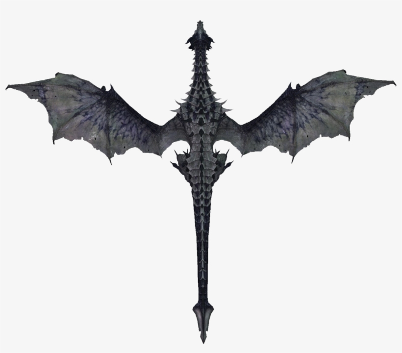 Frostdragon Top - Dragon Sprite Top Down PNG Image | Transparent PNG ...