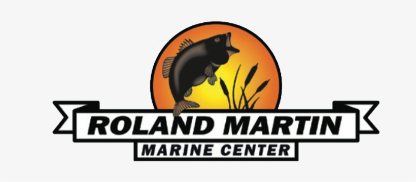 Roland Martin Marina PNG Image | Transparent PNG Free Download on SeekPNG