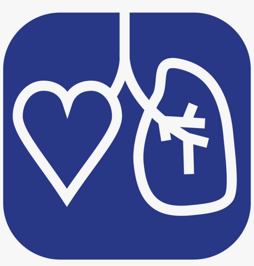 Icon Of A Heart And Lung - Lung PNG Image | Transparent PNG Free ...