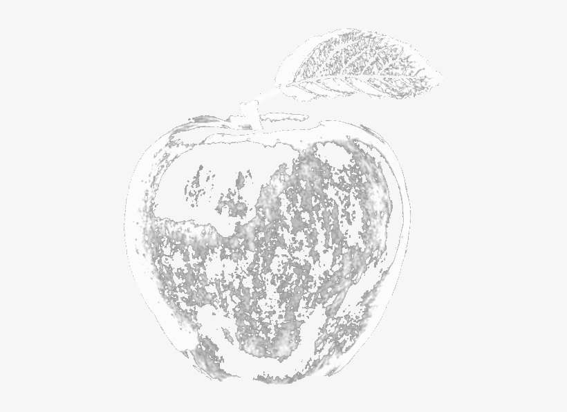 Sketch PNG Image | Transparent PNG Free Download on SeekPNG