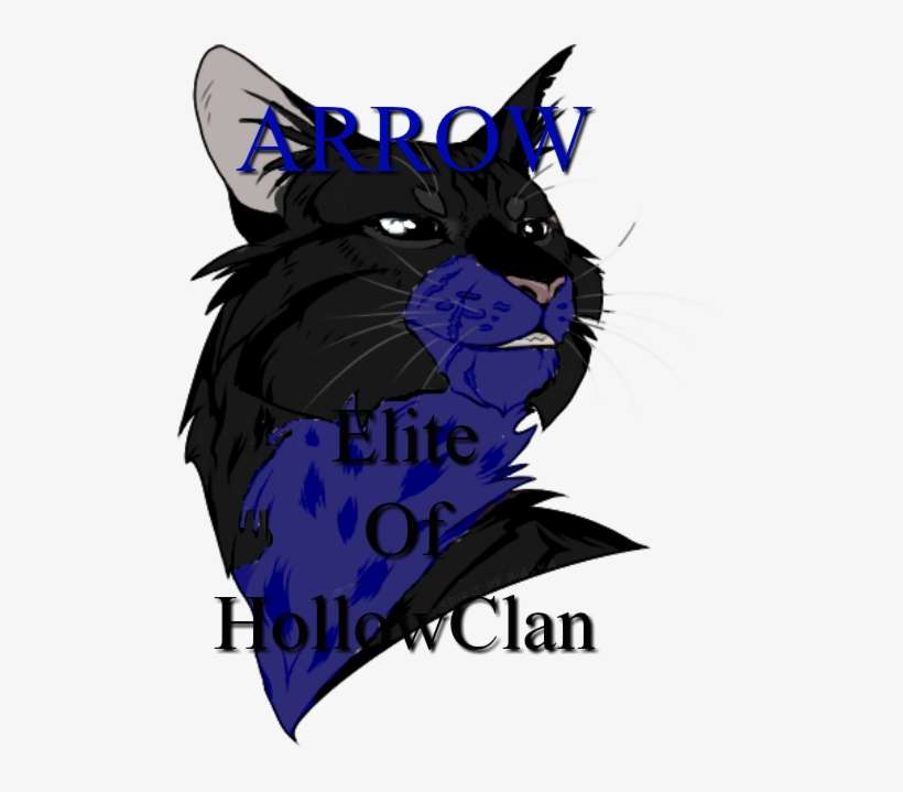 Download Arrow Sigpng - Black Cat | Transparent PNG Download | SeekPNG