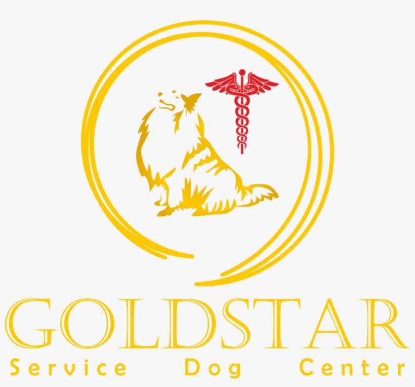 Download Gsdc New Logo 2018 With Name | Transparent PNG Download | SeekPNG