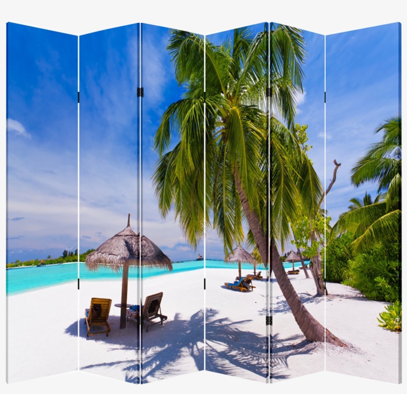 6 Panel Folding Screen Room Canvas Divider- Coconut PNG Image ...