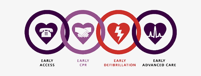The First Link In The Chain Of Survival - Chain Of Survival Png PNG ...