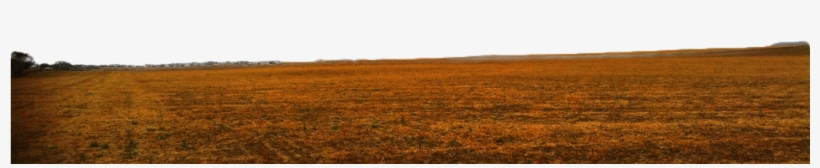 Ground Png Picture - Ground Png PNG Image | Transparent PNG Free ...