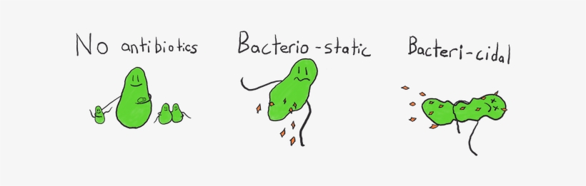 Bacterio Static Vs Bacteri Cidal - Efecto Bacteriostatico Y Bactericida ...