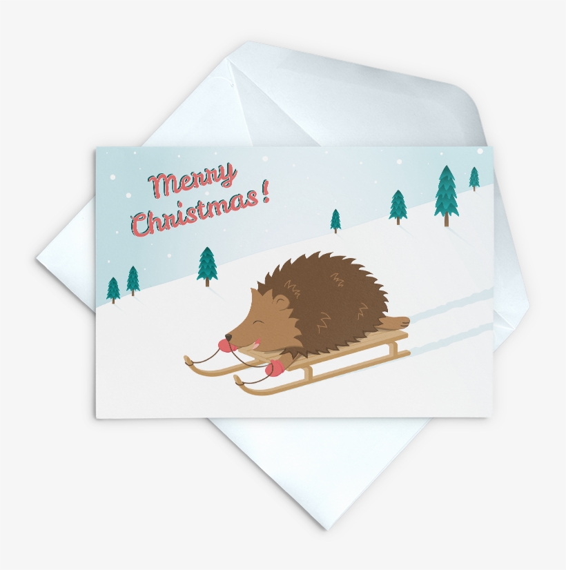 Sledgehog Hedgehog Christmas Card - Christmas Cards Hedgehog PNG Image ...