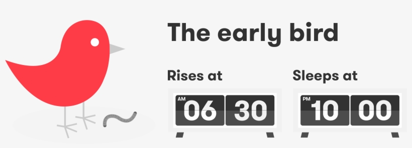 Earlybird-04 - Early Bird Late Bird PNG Image | Transparent PNG Free ...
