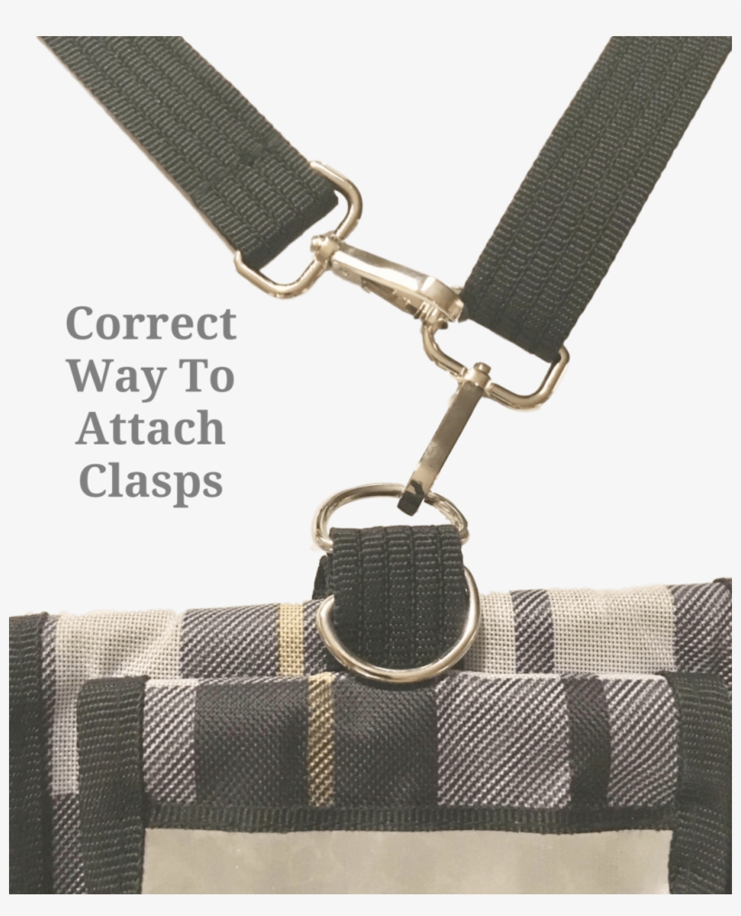 Strap, Cross Body Strap Hd - Strap PNG Image | Transparent PNG Free ...