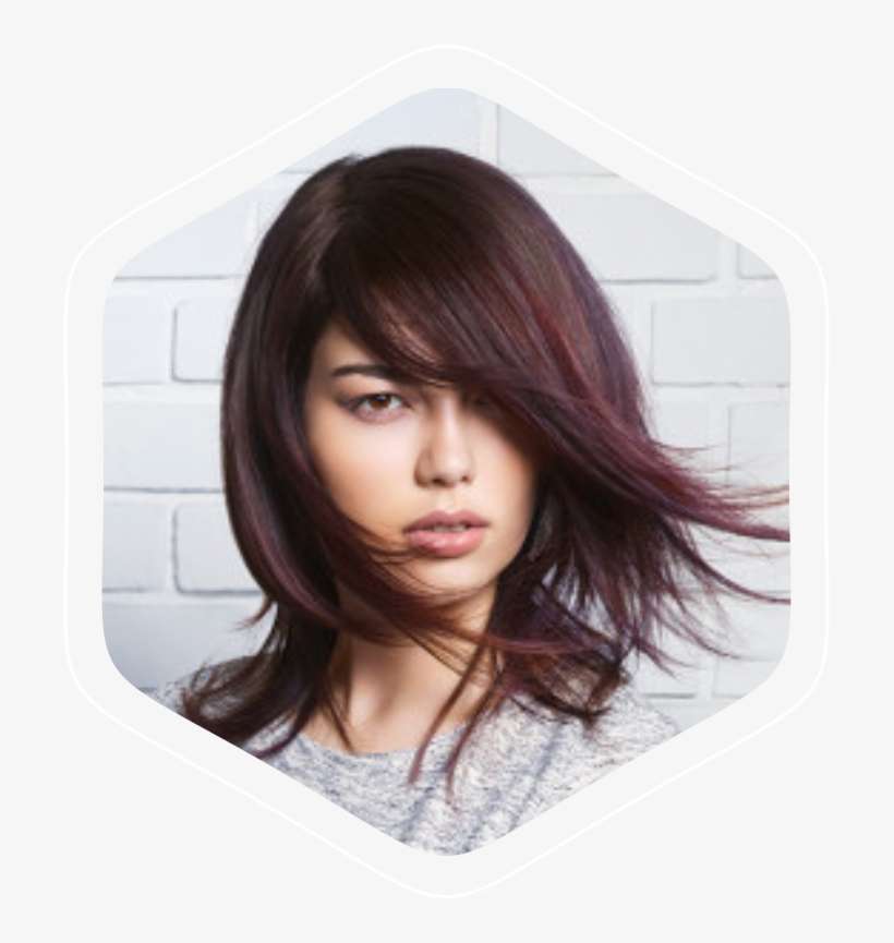 Hair Extensions - Kappers Abonnementen PNG Image | Transparent PNG Free ...
