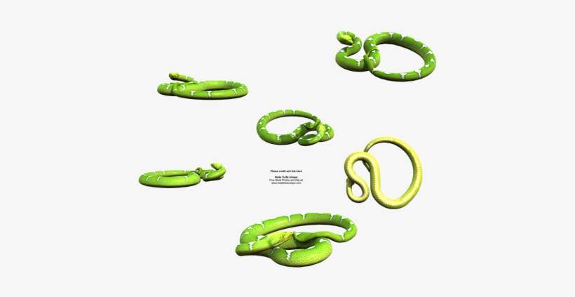 Smooth Green Snake Clipart Art - Green Snakes PNG Image | Transparent ...