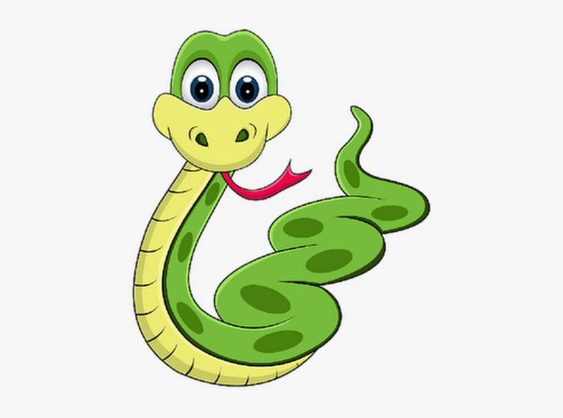 Photo - Python Guide For Complete Beginners PNG Image | Transparent PNG ...