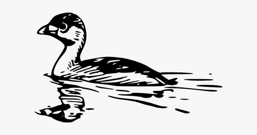 Original Png Clip Art File Swimming Duck Svg Images PNG Image ...