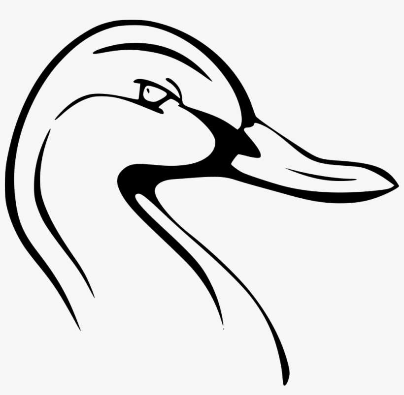 Duck Comments - Icon PNG Image | Transparent PNG Free Download on SeekPNG
