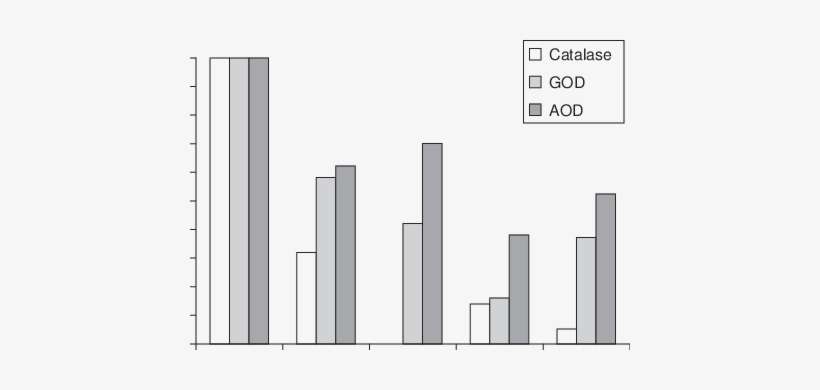 Relative Activity Of Immobilised Enzymes In The Different - City PNG ...