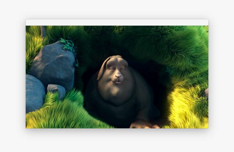 But Bitmap Info Of The Same Images Gives Me Incorrect - Big Buck Bunny ...
