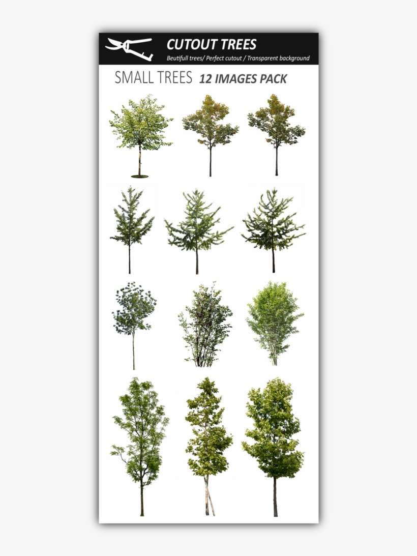 12 Small Size Trees Pack - Cutout Trees PNG Image | Transparent PNG ...