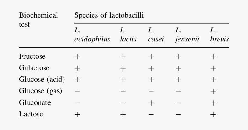 Biochemical Reactions Of The Species Of Genus Lactobacillus ...