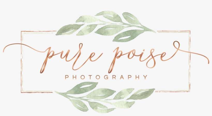 Pure Poise Large PNG Image | Transparent PNG Free Download on SeekPNG