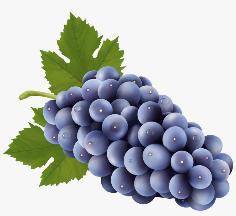 Transparent Background Grapes Clipart PNG Image | Transparent PNG Free ...