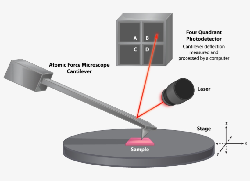 Atomic Force Microscope Mechanism - Microscope PNG Image | Transparent ...