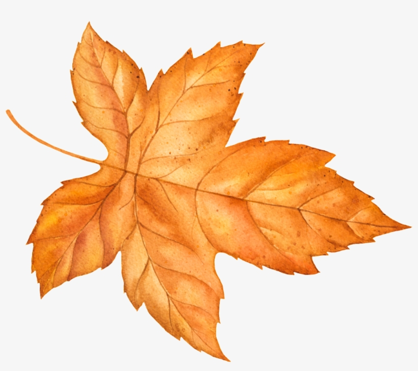 Autumn Yellow Leaves Vector - Euclidean Vector PNG Image | Transparent ...