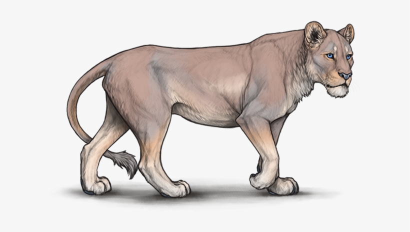 Rkyxilr - Lioden Lineart PNG Image | Transparent PNG Free Download on ...