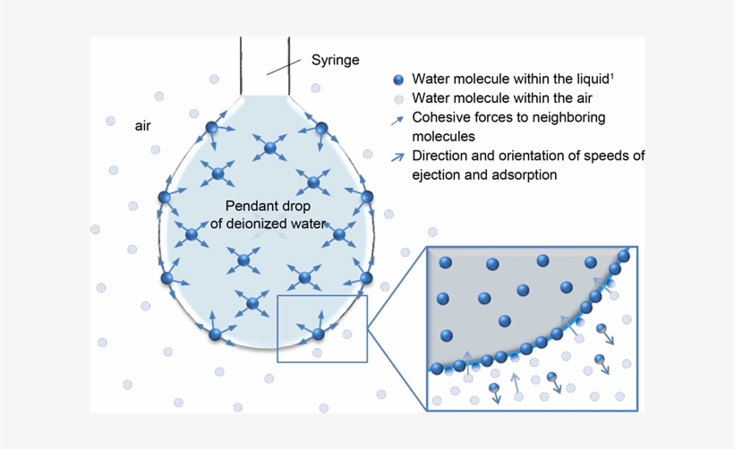 At The Liqu - Liquid PNG Image | Transparent PNG Free Download on SeekPNG