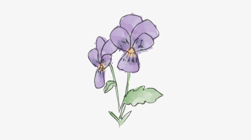 Com Veilchen - .com PNG Image | Transparent PNG Free Download on SeekPNG